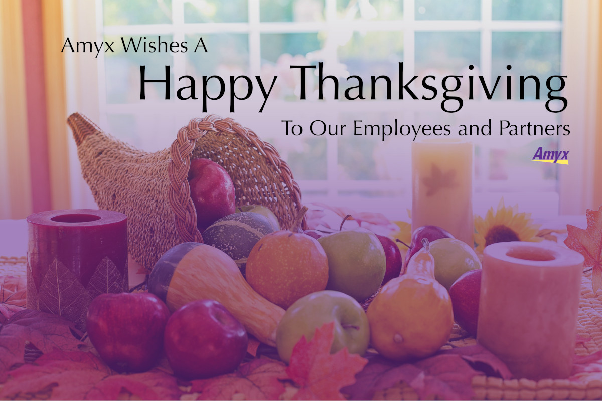 Amyx Holiday Message – Amyx, Inc.